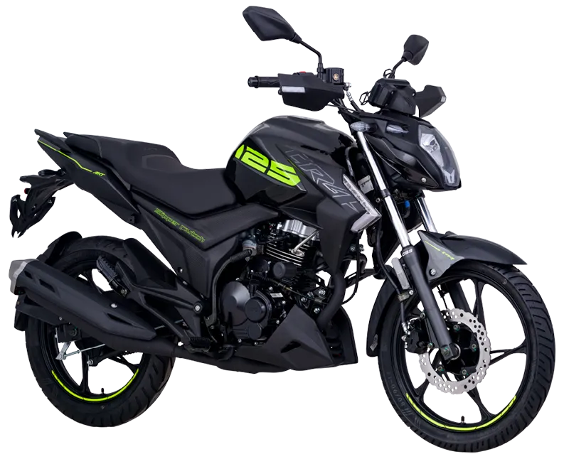 Rally 300 - AKT Motos